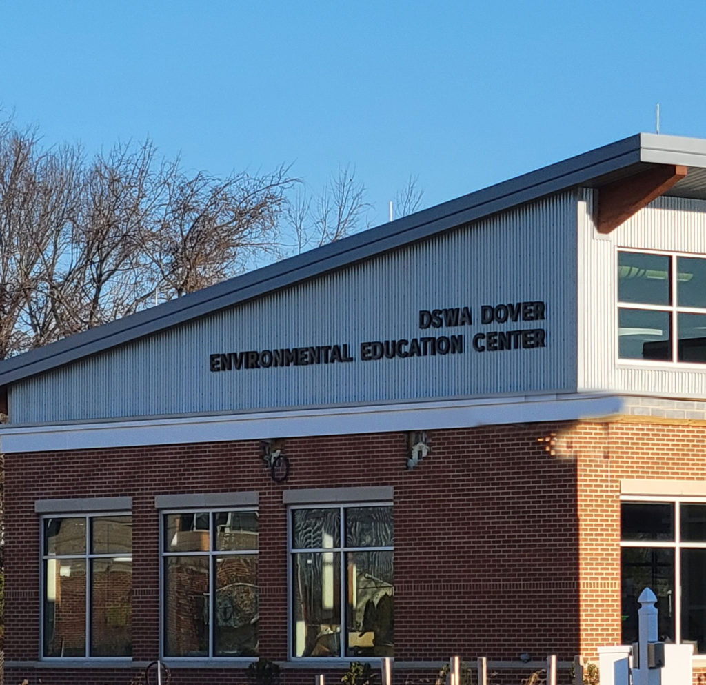 Programs – DSWA Education